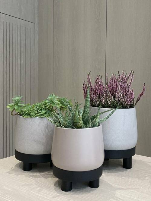 Mei Design Mini Vera Saksı - Siyah Ayak - Mei Design